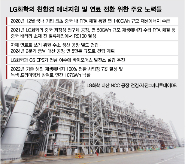 탈탄소 '집념'···LG화학, 재생에너지개발팀 신설로 RE100 가속 - 머니투데이