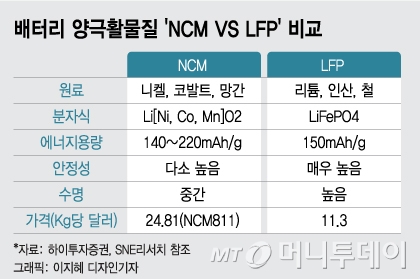 K배터리 3사 모두 매달린 LFP배터리 정체는? - 머니투데이