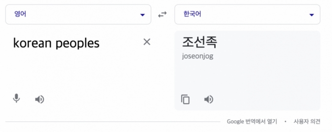 구글 번역에 'Korean peoples' 입력하니 '조선족' 나왔다 - 머니투데이