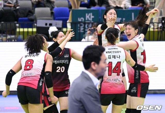 이제 '정관장'으로 불러주세요... KGC인삼공사, 남자농구·여자배구 모두 팀명 변경 - 머니투데이