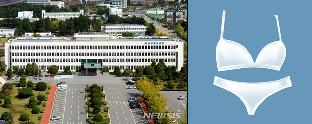 여성 속옷만 입고 거리 활보한 20대 남성…처벌 어렵다 머니투데이
