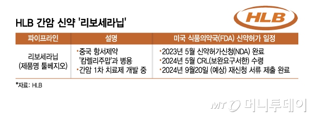 HLB, 이달 간암신약 재도전…이번엔 美 문턱 넘을까 - 머니투데이