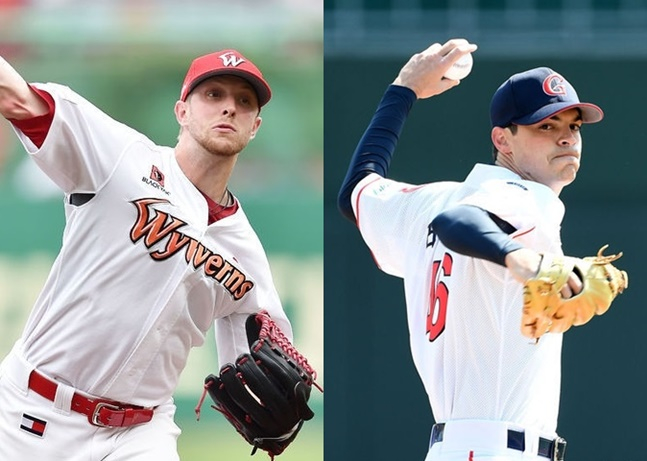 2006년 2명→2023년 11명... WBC에서 KBO 출신 더 많이 본다 - 머니투데이