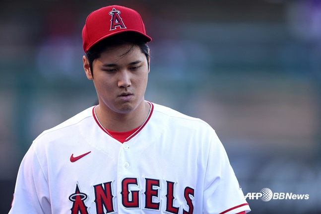 오타니 '머쓱', LAA 28안타 폭격에 단 '1안타' 지분 "MVP 활약 없이 이런 대량득점이라니" - 머니투데이