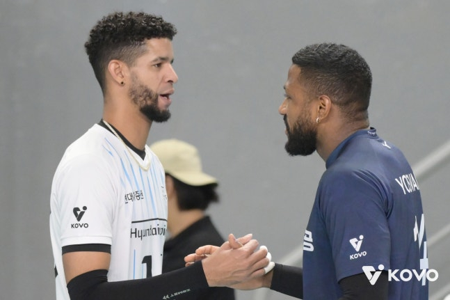 '당장 오늘 개막인데 날벼락' KOVO컵, 외국인 선수 못 뛴다... FIVB '출전 불가' 권고 - 머니투데이