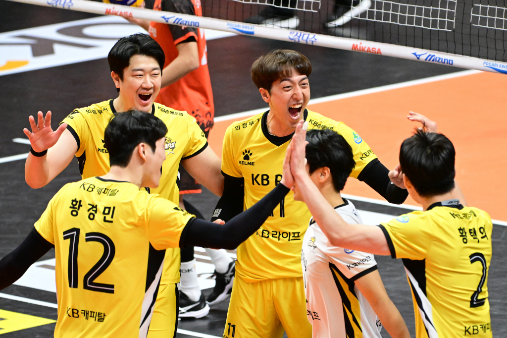 '비예나+나경폭 39점 폭발' KB손해보험, 파죽의 5연승→2위 대한항공 4점 차 맹추격... 최하위 OK저축은행 연승 마감[안산 현장리뷰] - 머니투데이